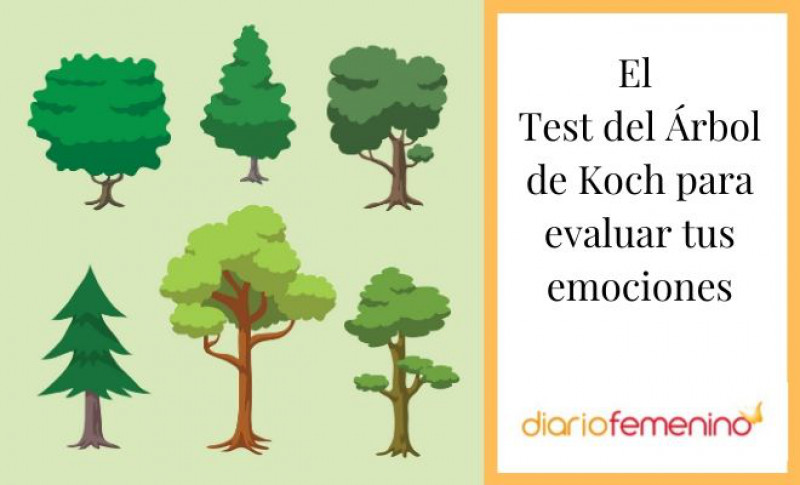 Test del Árbol de Koch: una prueba para medir tu estabilidad emocional