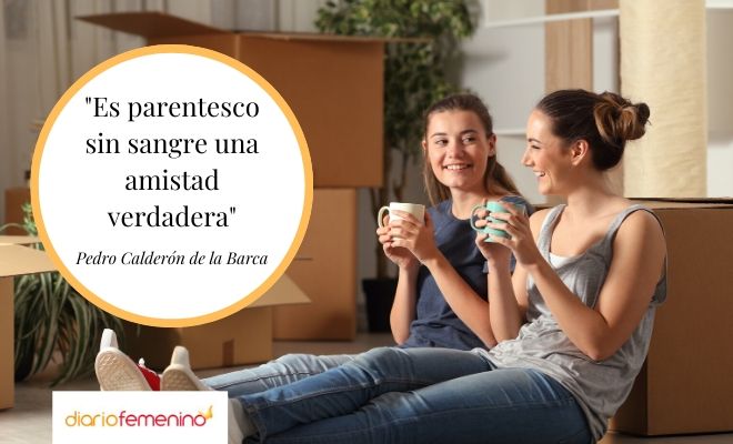 Más de 87 frases de amistad para el Día del Amigo (con imágenes bonitas)