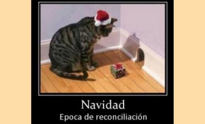 Los memes más locos para felicitar la Navidad y el Año Nuevo por WhatsApp