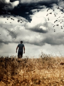 Amatofobia: ¿alergia o miedo al polvo?