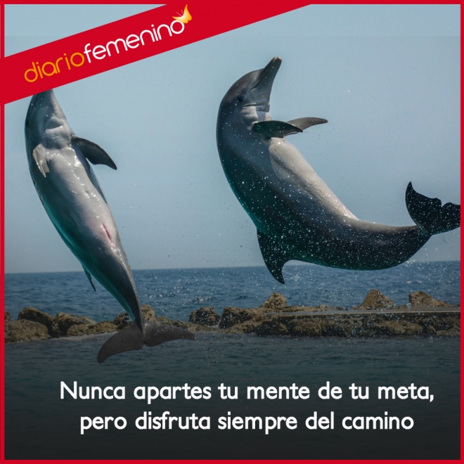 Frase para conseguir tus metas: disfruta siempre del camino