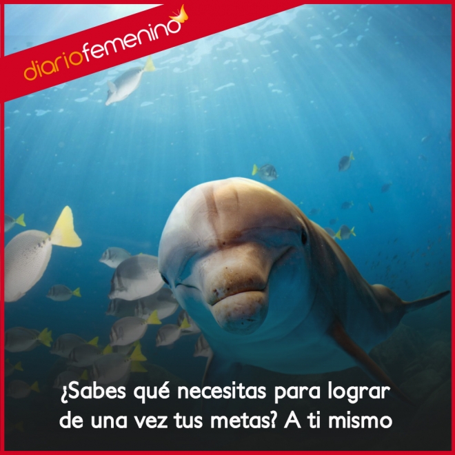 Frases para conseguir tus metas: lo más importante es la autoconfianza