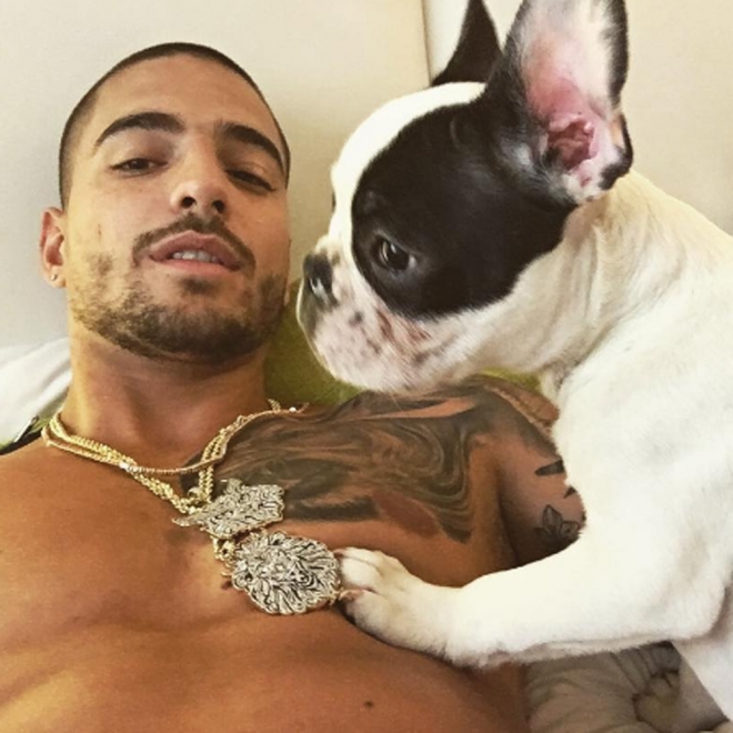 Maluma y su perrito